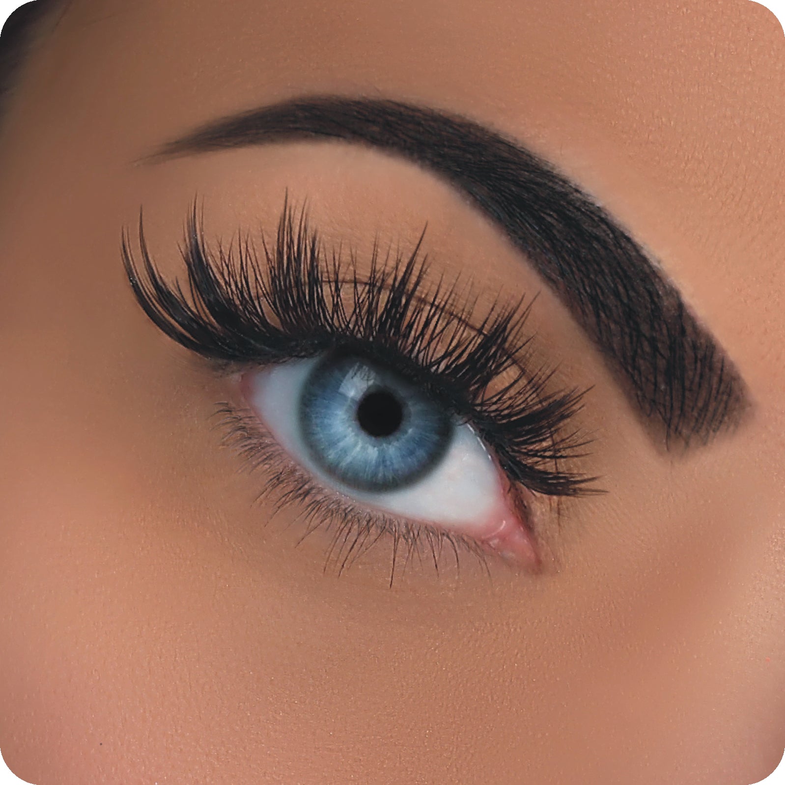 Forever LoveThe Love Collection – Lash Pop Lashes | Pop Cosmetics