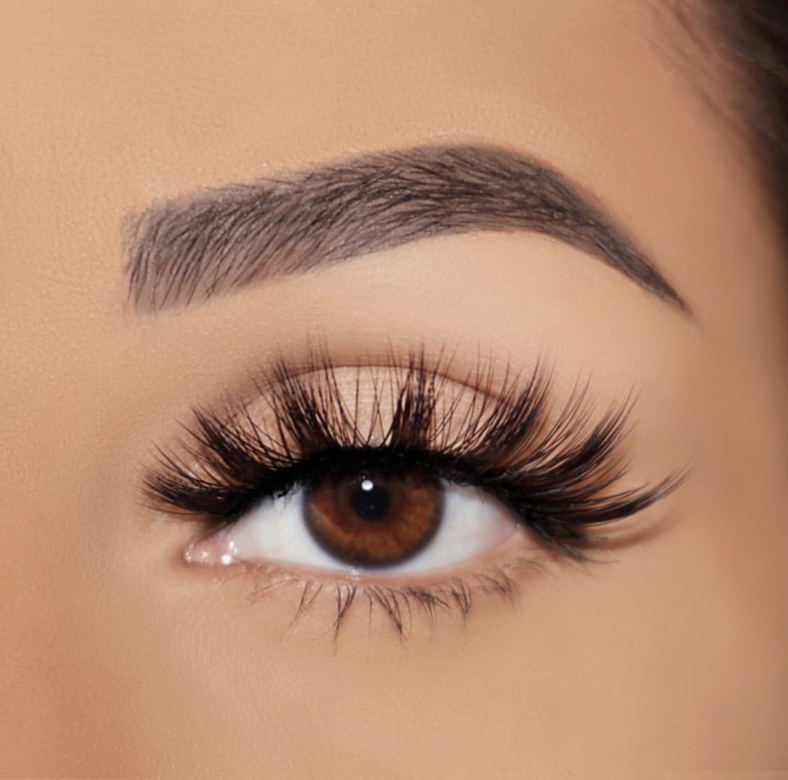 Forever LoveThe Love Collection – Lash Pop Lashes | Pop Cosmetics